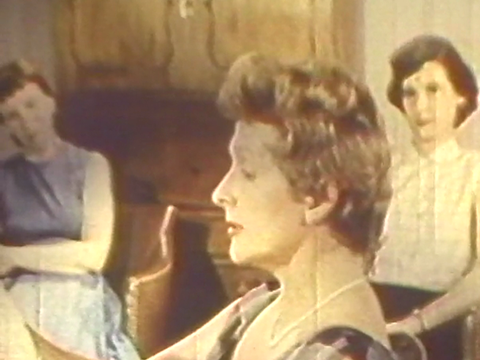 The Parent Movement – Partners in Policymaking Online Courses